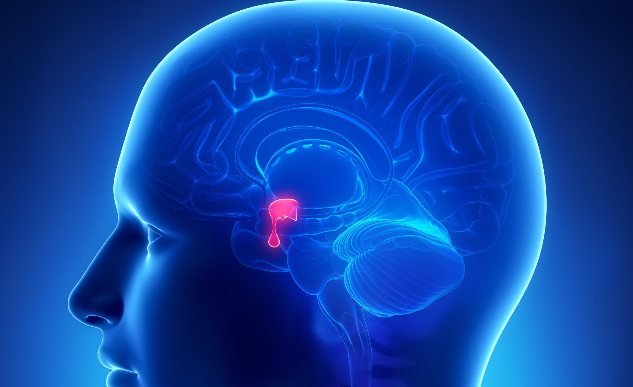 Understanding Pituitary Disorders: Causes, Symptoms, and Treatment ...